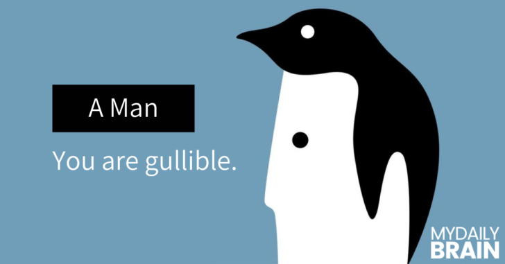 This Optical Illusion Test Will Reveal How Gullible You Are