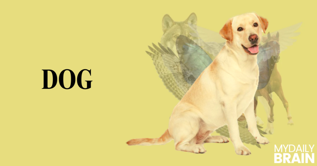 Visual Quiz: The First Animal You See Reveals Your True Values