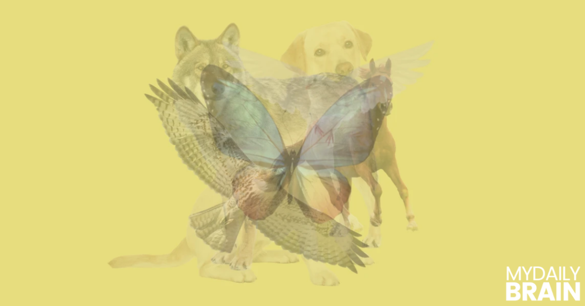 Visual Quiz: The First Animal You See Reveals Your True Values