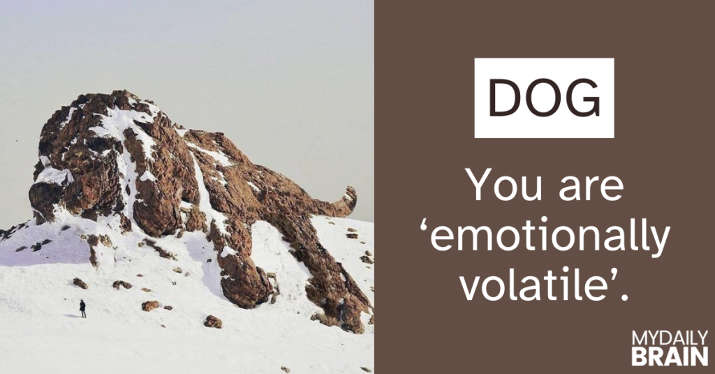 This Viral Illusion Reveals if You’re Friendly Or ‘Emotionally Volatile’