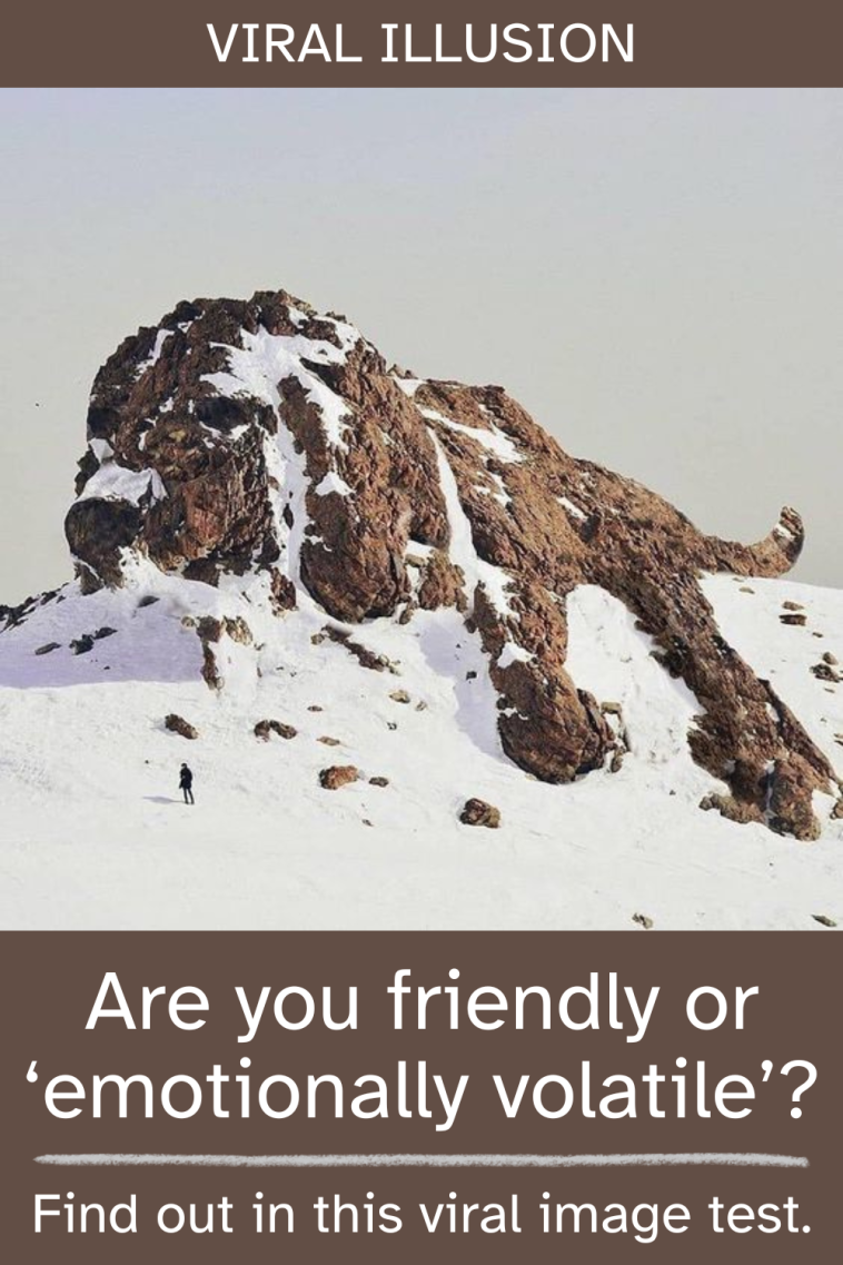 This Viral Illusion Reveals if You’re Friendly Or ‘Emotionally Volatile’